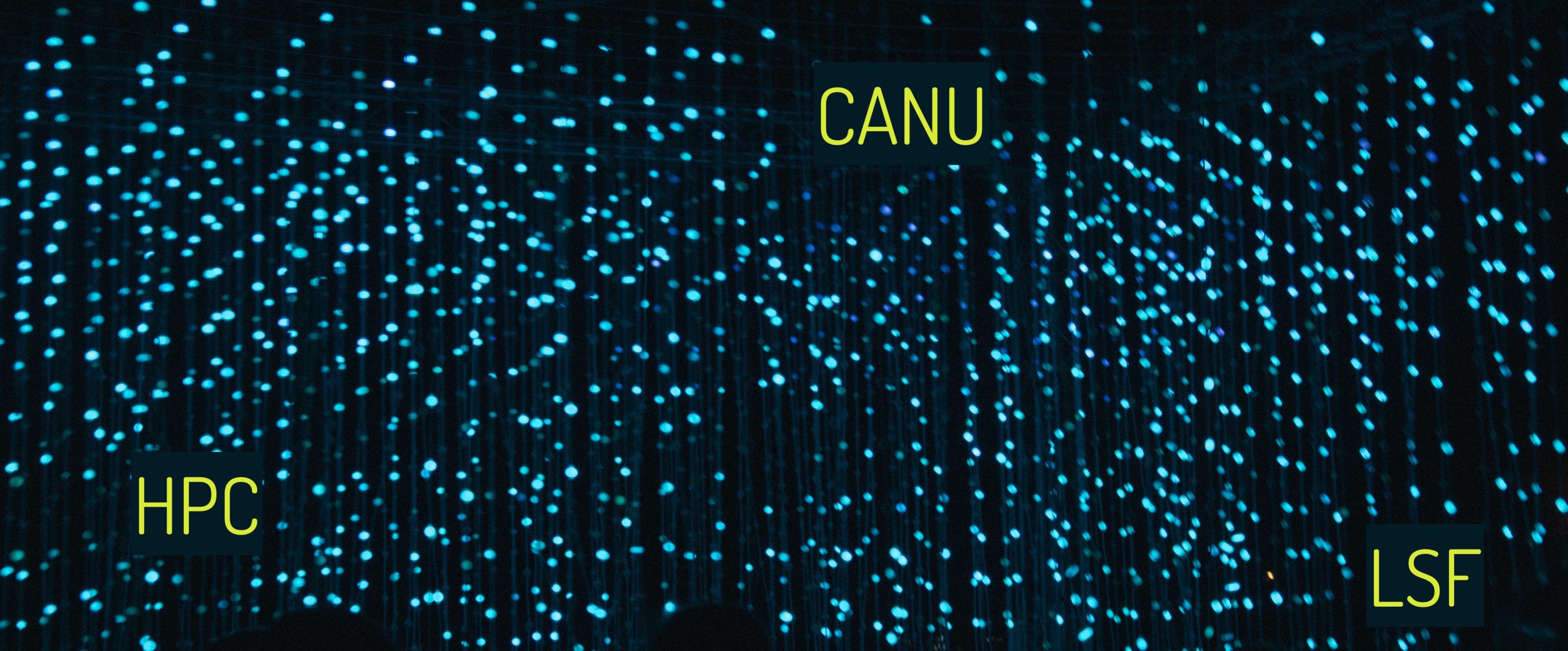 Long read assembly via CANU using HPC | Camilo Parada